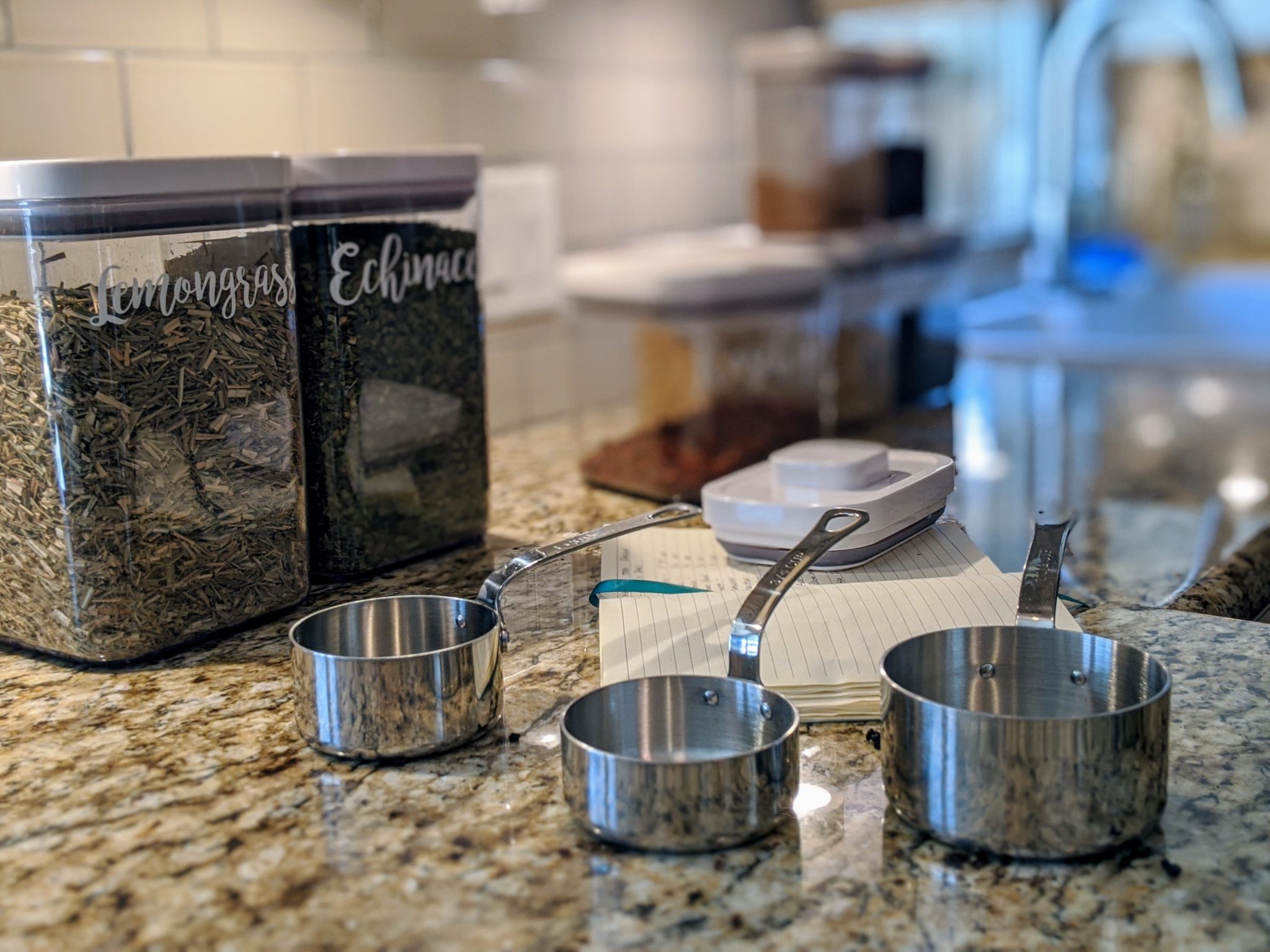 The Origin Story of Live Berry Well | Live Berry Well